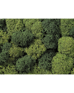 IJslands mos licht- en donkergroen 75 g Noch 08621